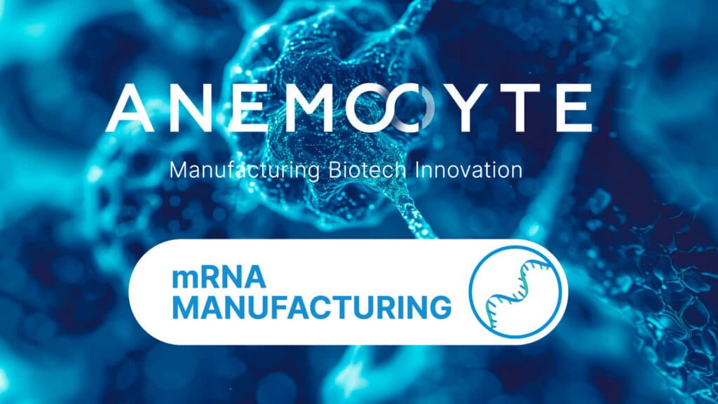 mRNA Manufacturing Process - News | Anemocyte